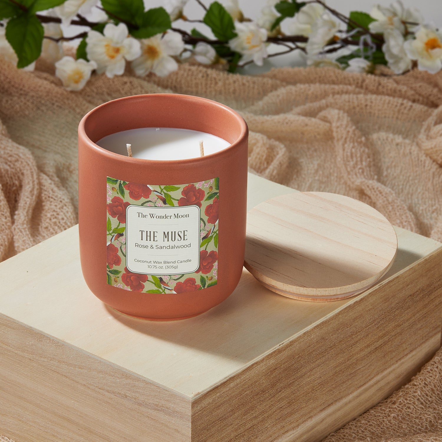 The Muse – The Wonder Moon